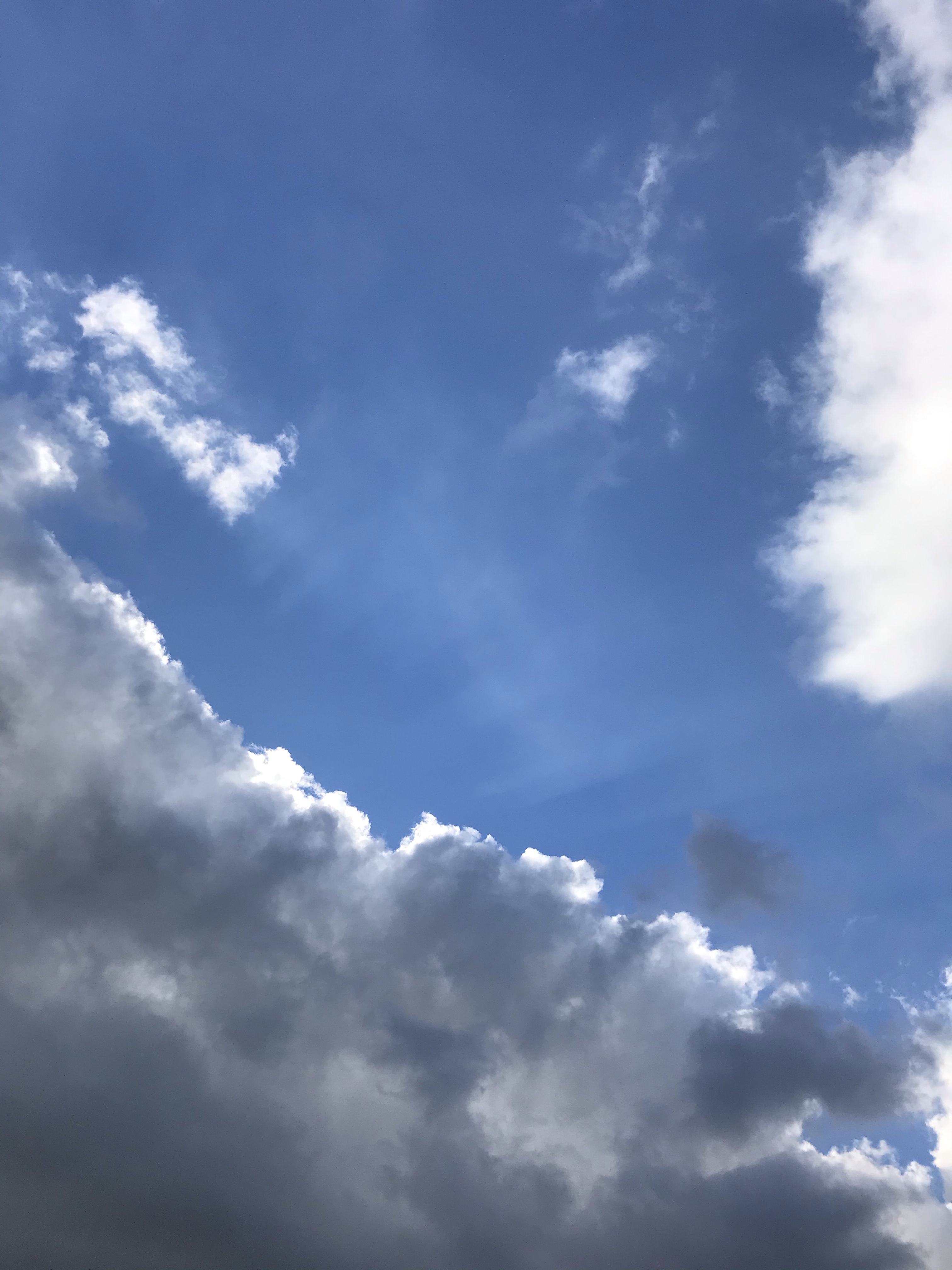 Know, Knowing and not Knowing – God’s Word Interprets God’s Word